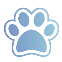 OWOWPET™｜Pet Life – OWOWPet