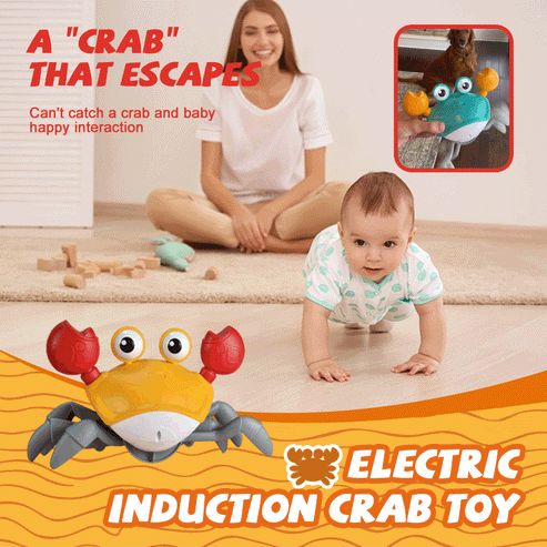 🐾Electric Induction Crab Toy – OWOWPet